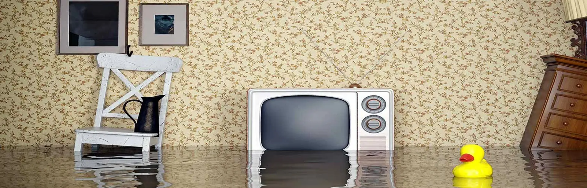 How Do I Find a Water Leak in My House | Polli Construction